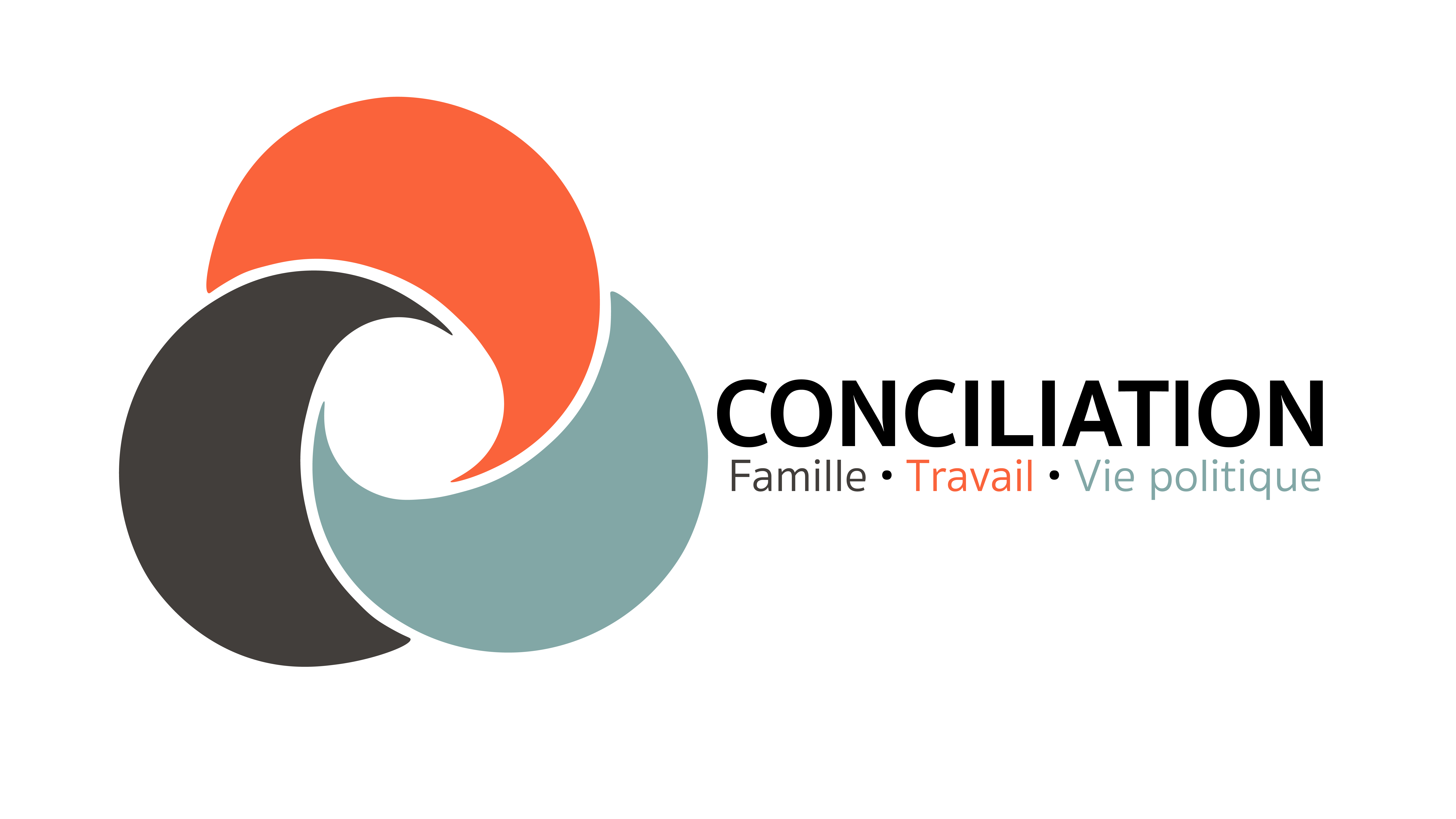 Portrait préliminaire : Enquête sur les enjeux de conciliation des ...